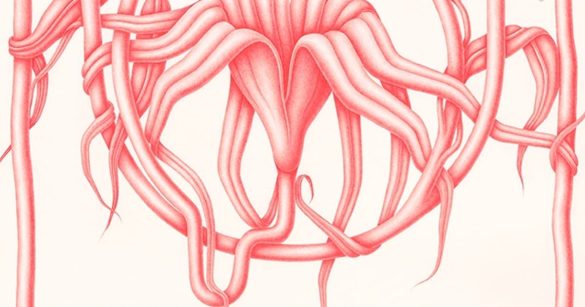 Devra Fox | Hashimoto Contemporary