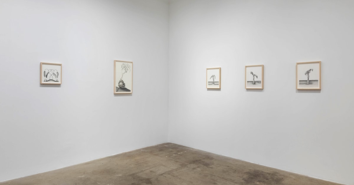 Works - Devra Fox | HESSE FLATOW