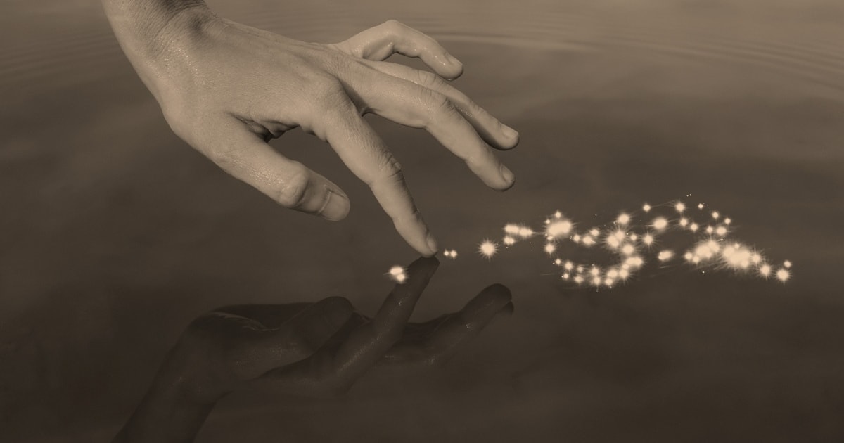 Paul Cupido | IBASHO