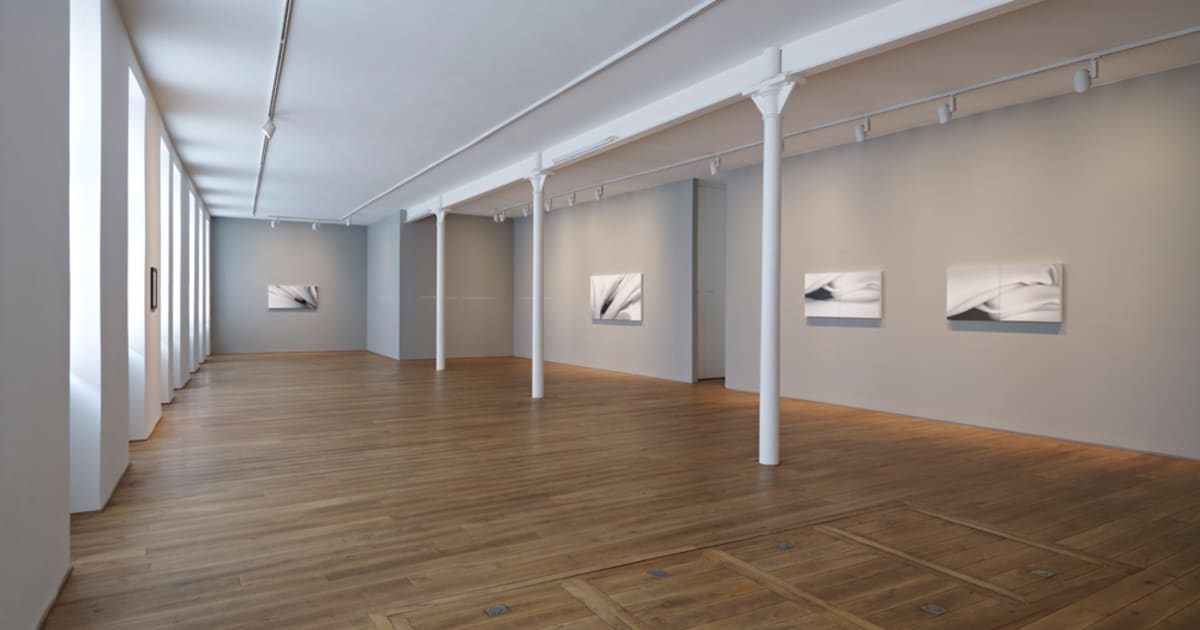 Works - Alison Watt: Hiding in Full View | Ingleby Gallery