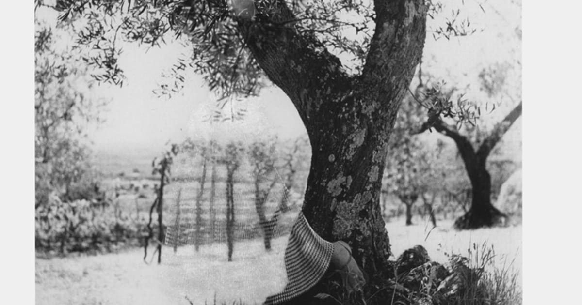 Works - Jonathan Owen - Edinburgh Art Festival 2016 | Ingleby Gallery