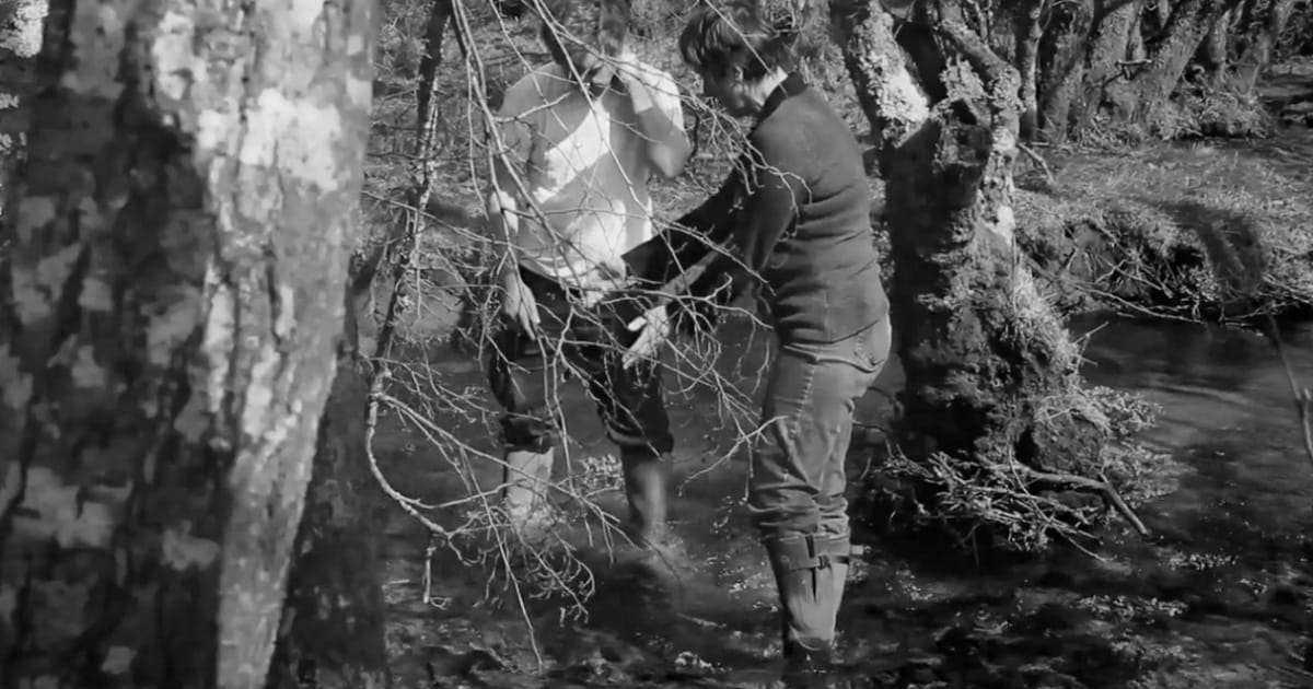 Susan Derges - Overview | Ingleby Gallery