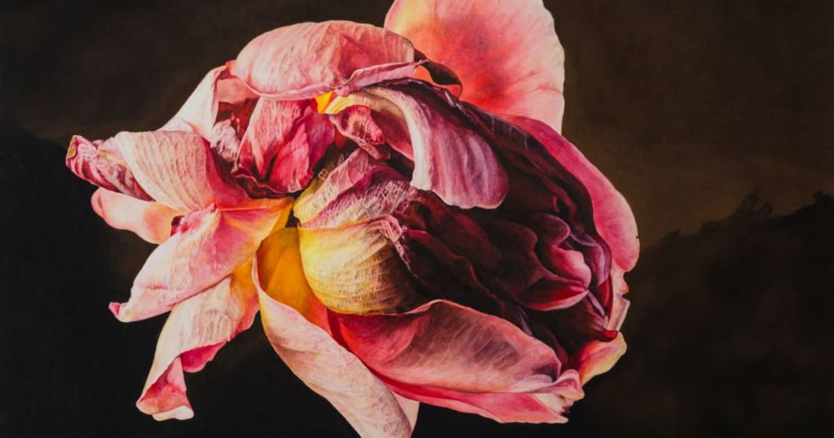 Rosie Sanders: 81 - Overview | Jonathan Cooper