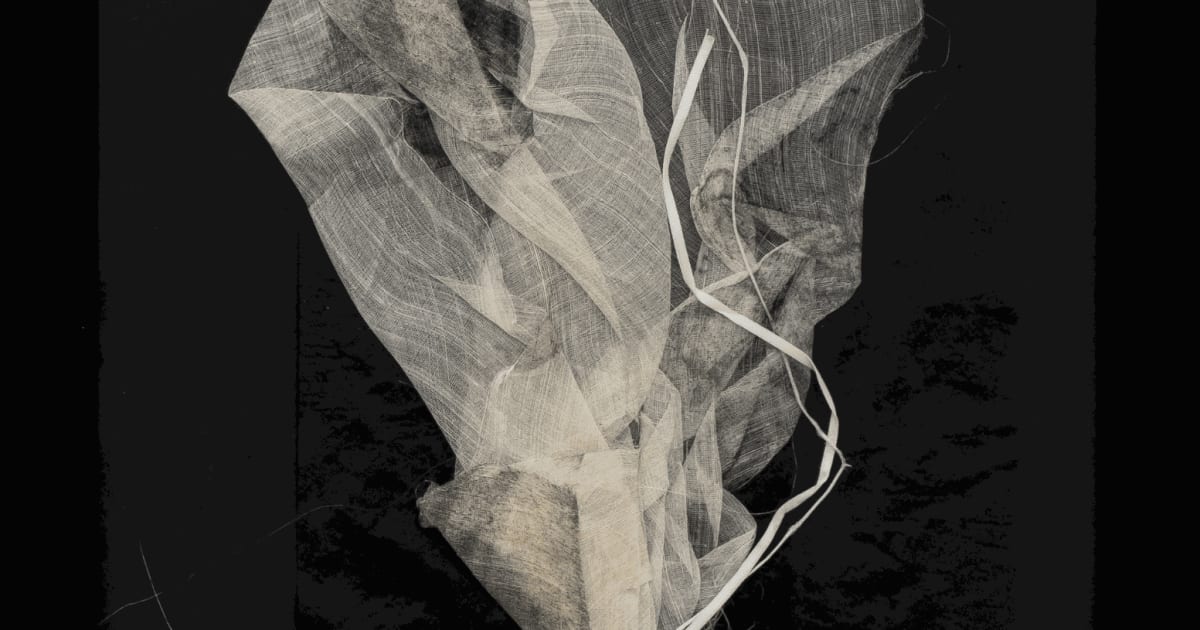 Augustine Paredes | Lawrie Shabibi