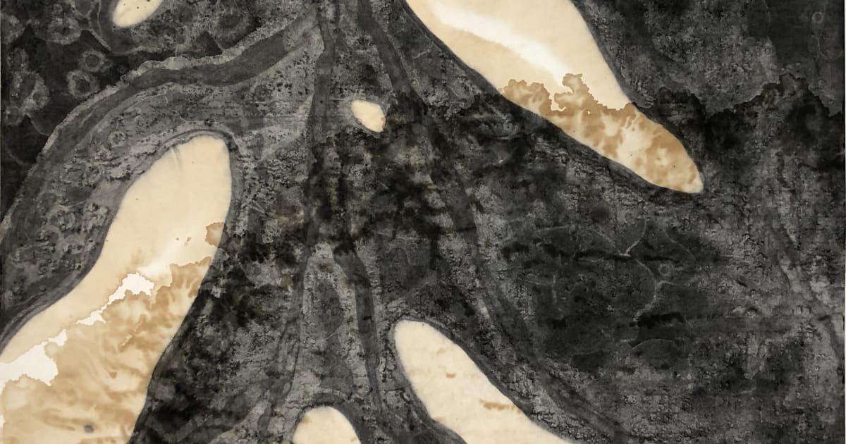 Barbara Edelstein 芭芭拉・愛德斯坦 - Biography | Leo Gallery