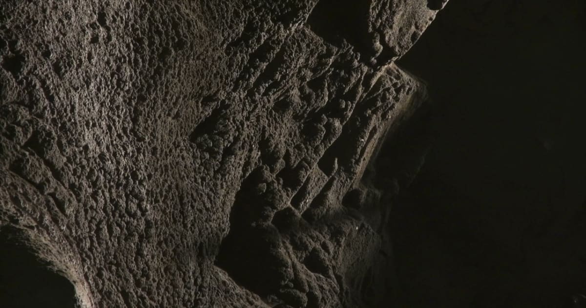 Bernd Behr I Video Room | 23 March - 27 April 2018 | Galerie Kandlhofer