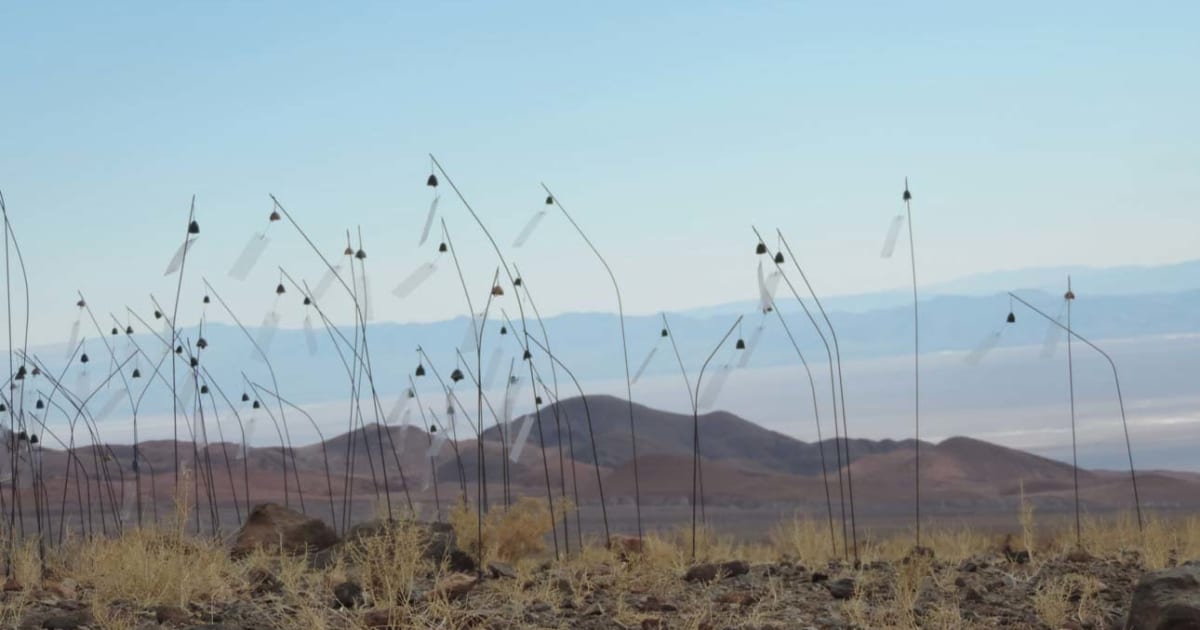 Christian Boltanski | Animitas (Chili) | Marian Goodman