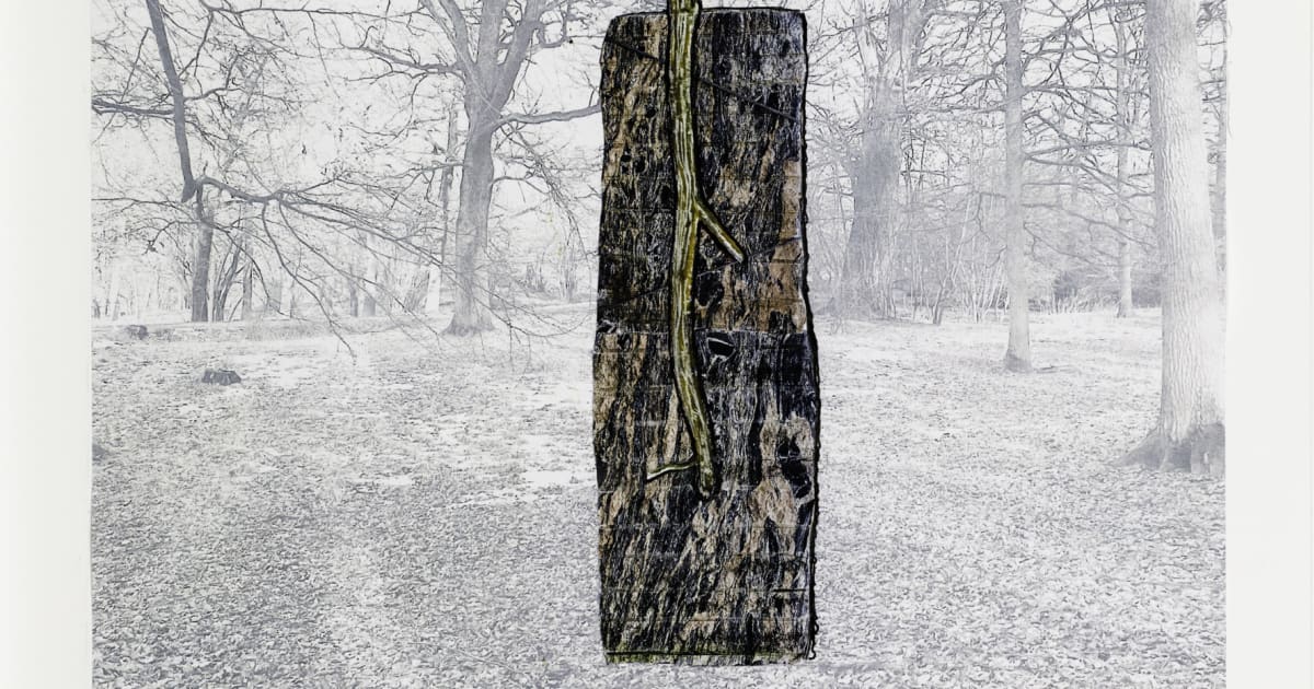 Giuseppe Penone - Artist of the Year | Princess Estelle Cultural ...