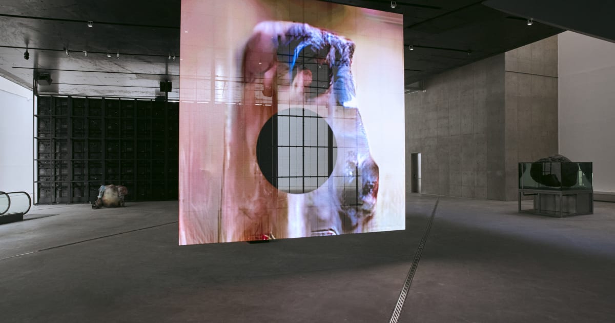 Pierre Huyghe - Liminal | Leeum Museum of Art | Marian Goodman