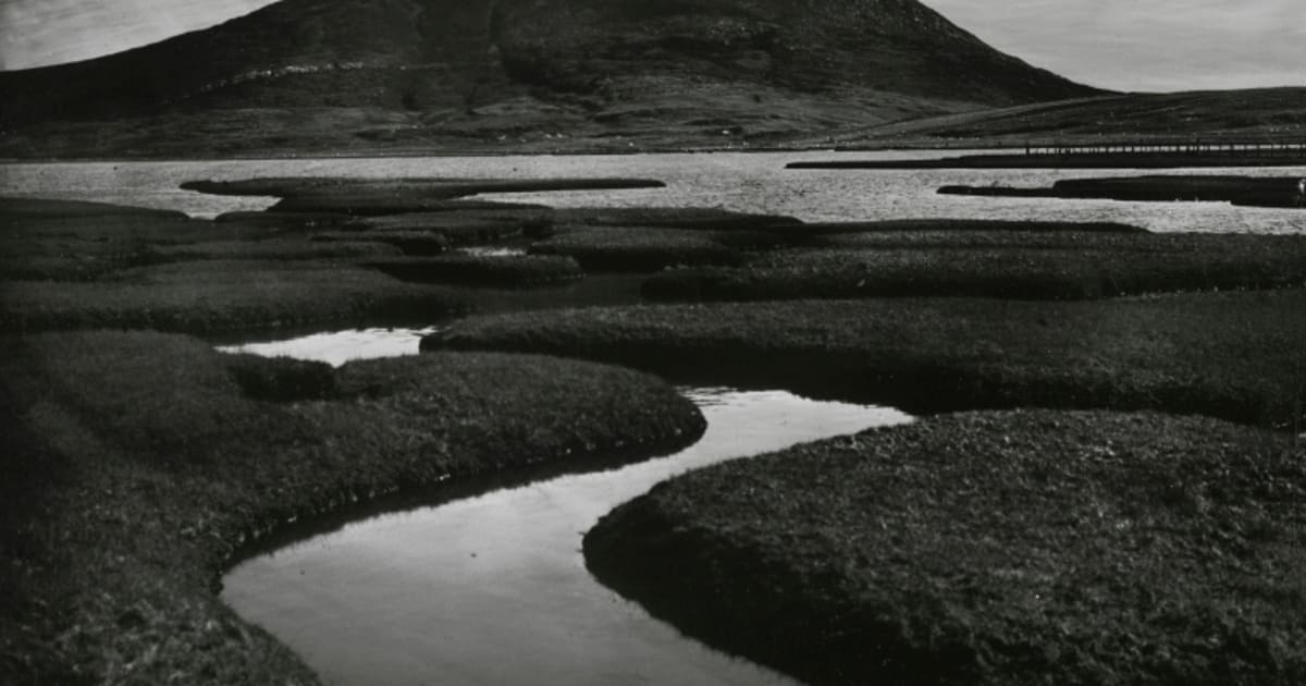 Alex Boyd - Biography | MMX Gallery Ltd