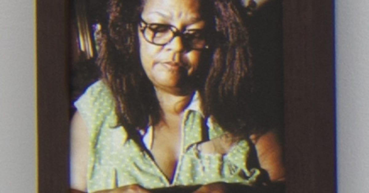 Terence Nance: Univitellin | Nicola Vassell