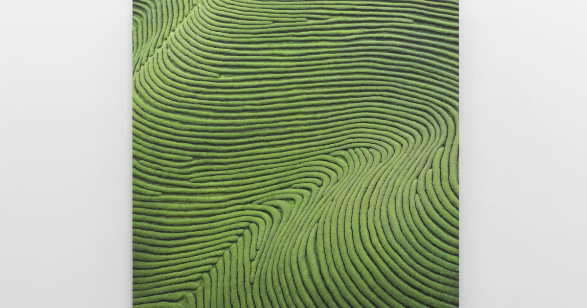 ELIZABETH THOMSON | 11 August - 3 September 2022 - Installation Views ...