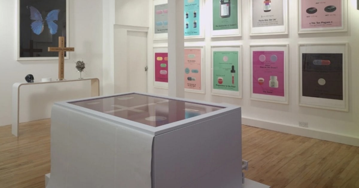 Works - Damien Hirst | Paul Stolper