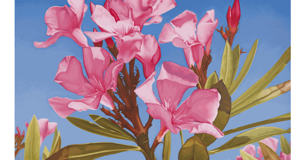 Mustafa Hulusi | Pi Artworks