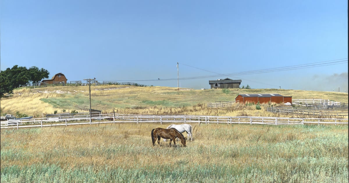 Richard Mclean | Plus One Gallery