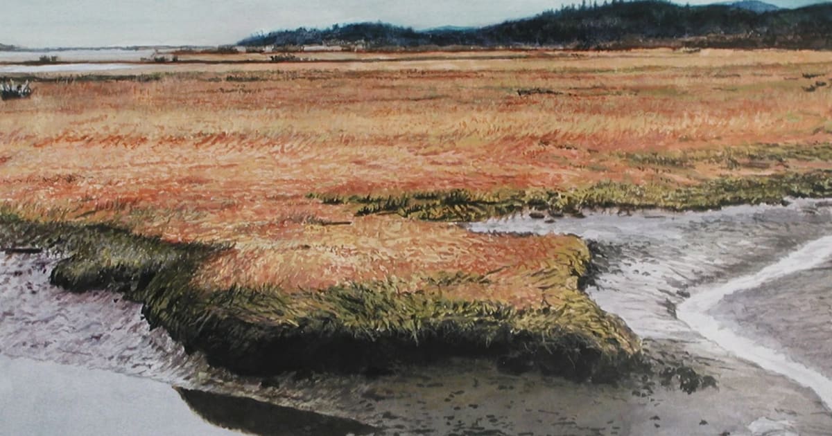 james van patten young