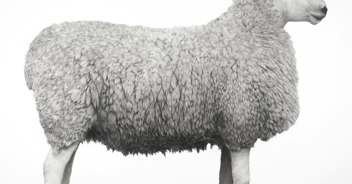 Works - Jonathan Delafield Cook | Purdy Hicks Gallery