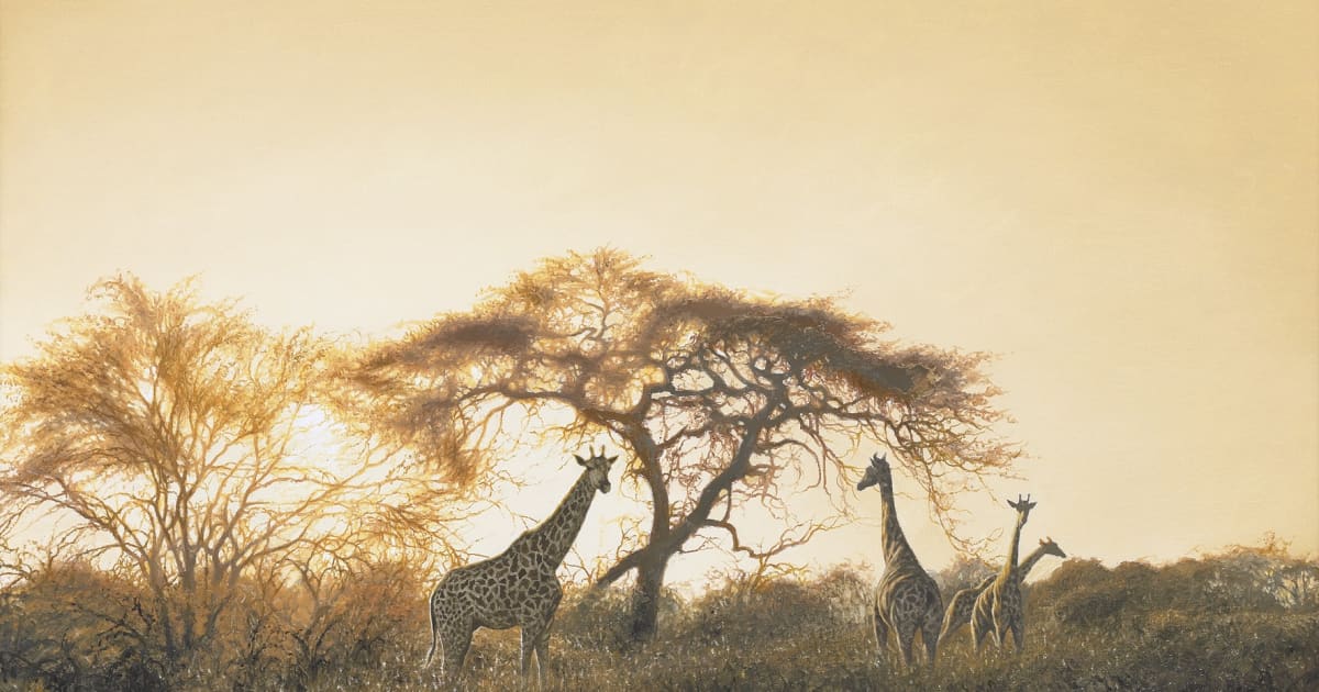 Paul Augustinus - Biography | Rountree Tryon