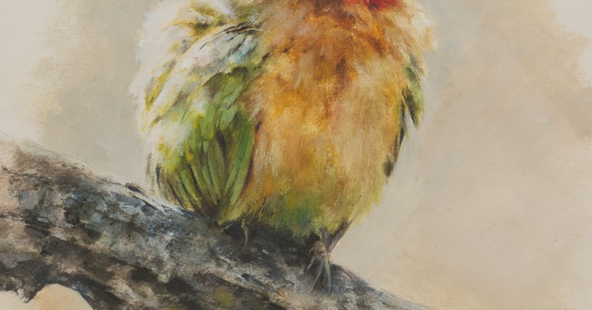 Mandy Shepherd - Works | Rountree Tryon