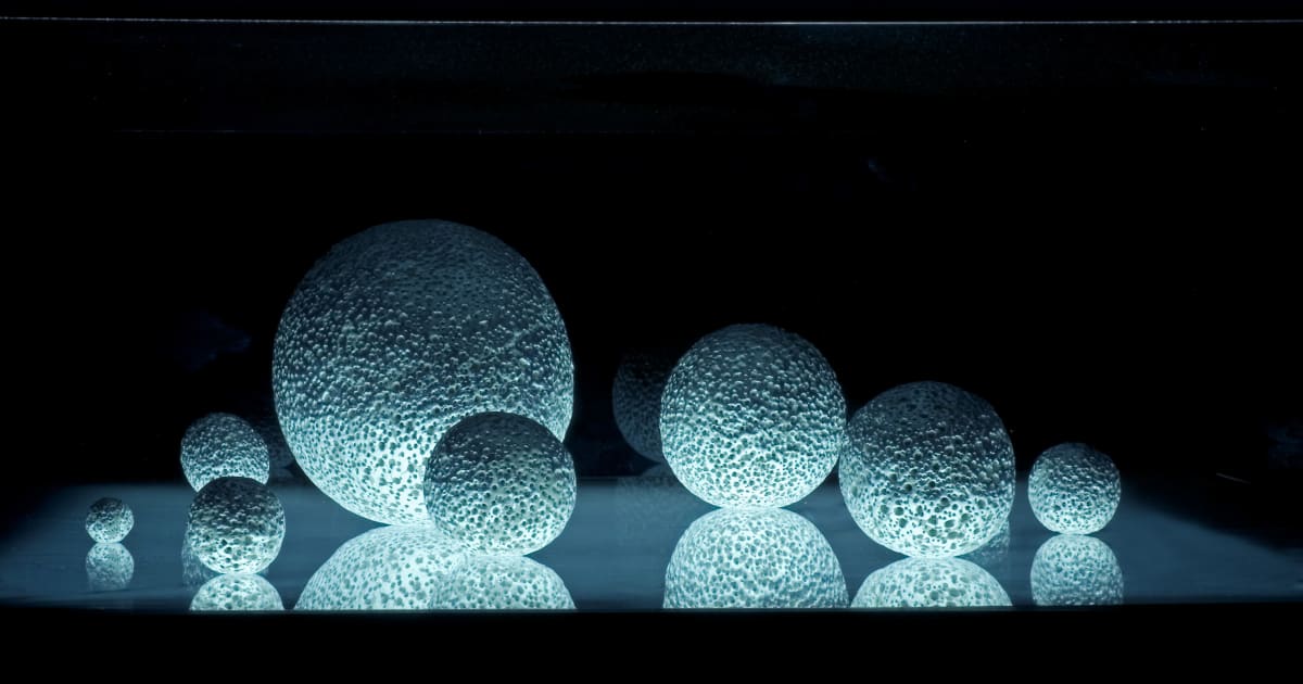 Anne Bevan RSA (Elect) - Biography | Royal Scottish Academy