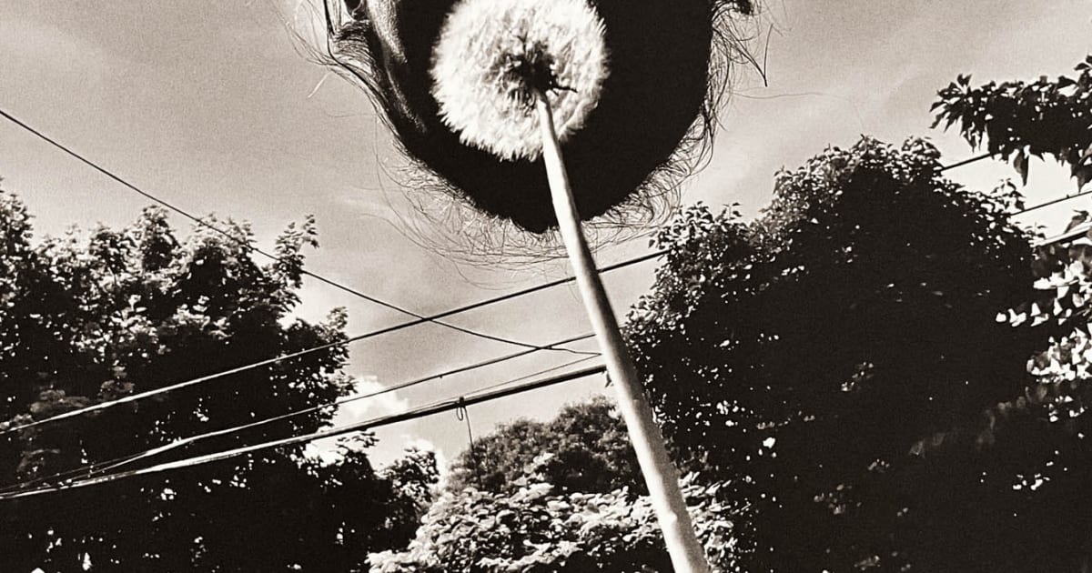 The Ravestijn Gallery