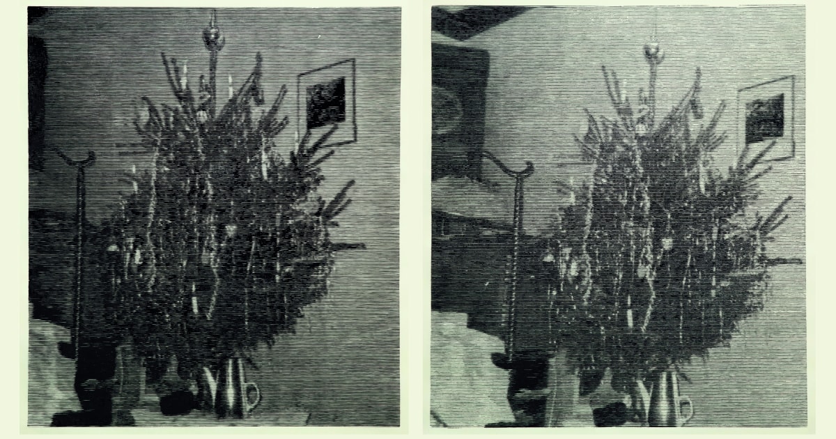 Oliver Hambsch - Overview | THK Gallery