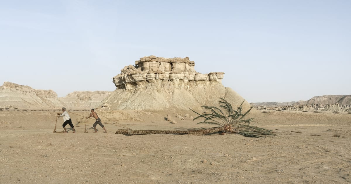 Gohar Dashti: Across Land and Sea - Overview | Print Sales Gallery ...