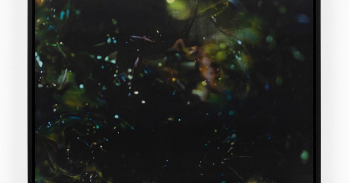 Anicka Yi, Within Emptiness 005, 2024 | Esther Schipper