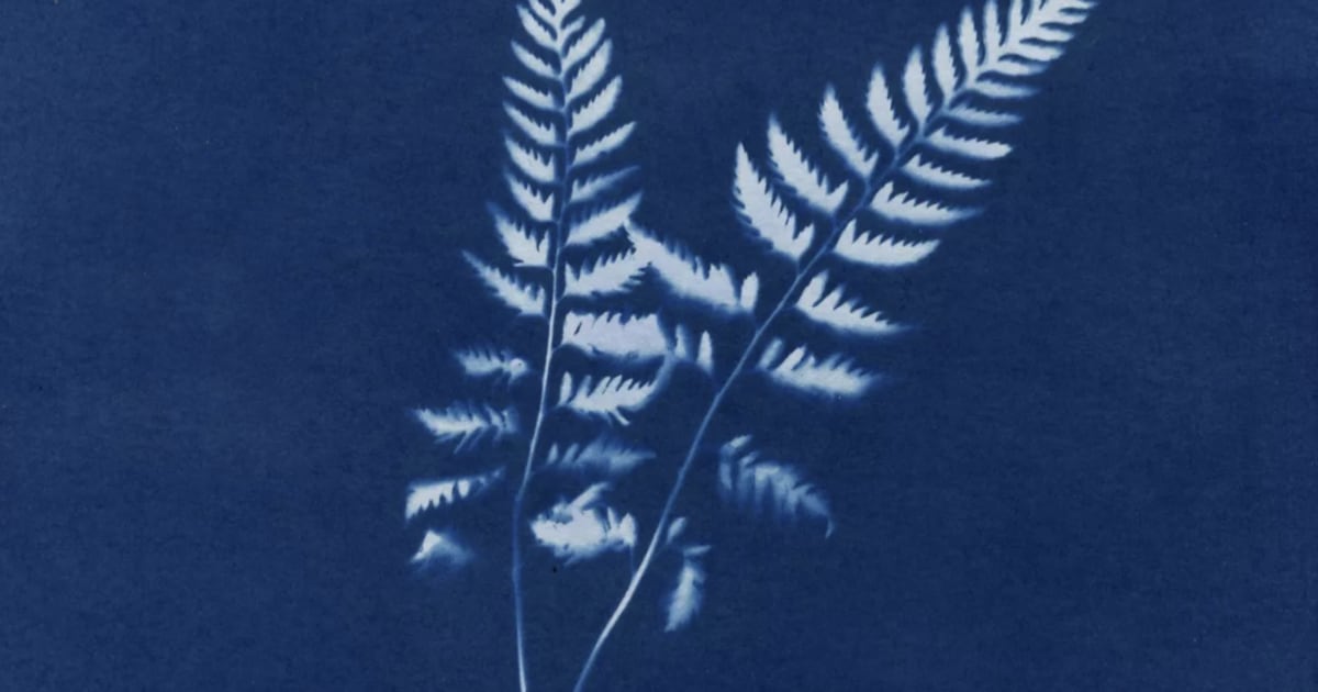 Janelle Lynch | featured in This Gallery Is a Poem: Unearthing Stories ...