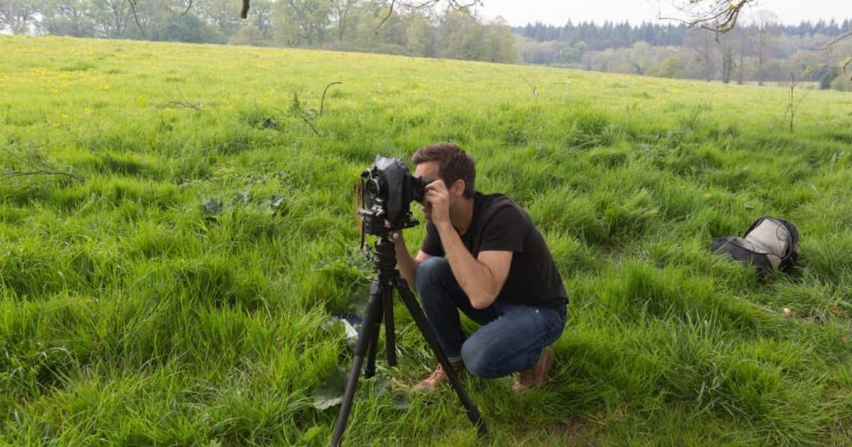 In Conversation with Simon Roberts and Alexandra Harris at Pallant ...