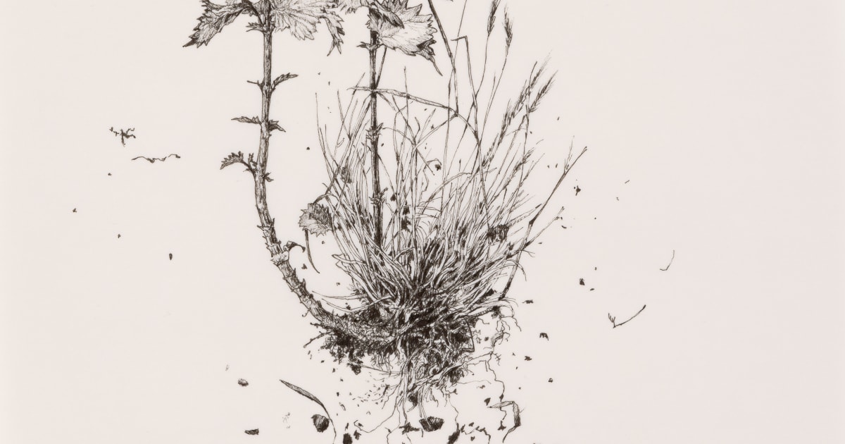 Miriam de Búrca, Site has Been Levelled, 2023 | Cristea Roberts Gallery