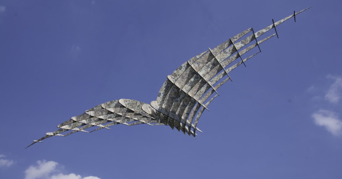 Stephen Hoskins RE, Gull wing Aeroplane | Bankside Gallery