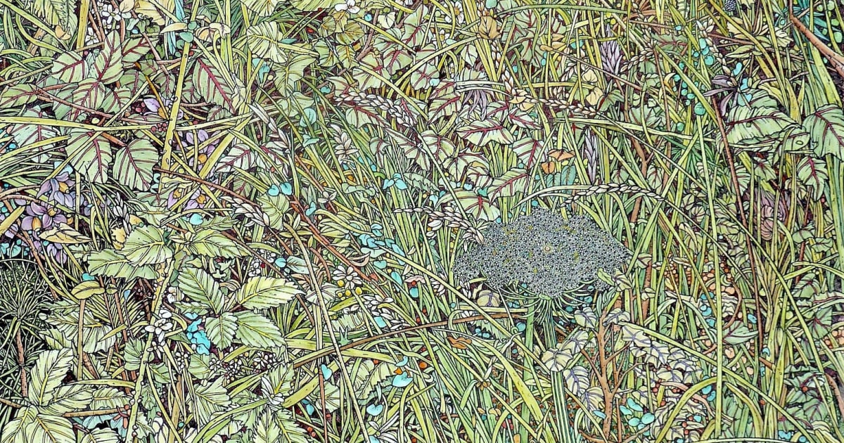 Meg Dutton RE, Hedgerow | Bankside Gallery