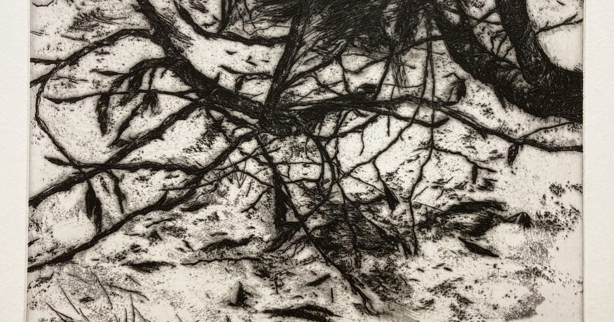 David Sully ARE, Winter Catkins | Bankside Gallery