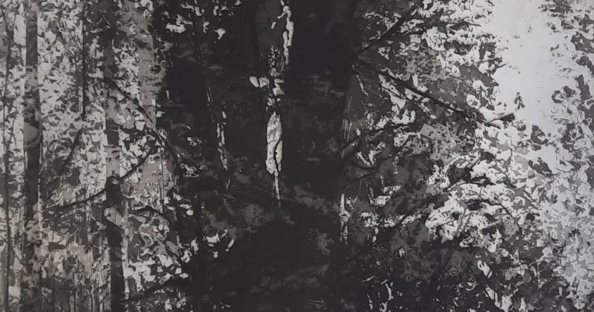 Jemma Gunning RE, Clifford Woods | Bankside Gallery