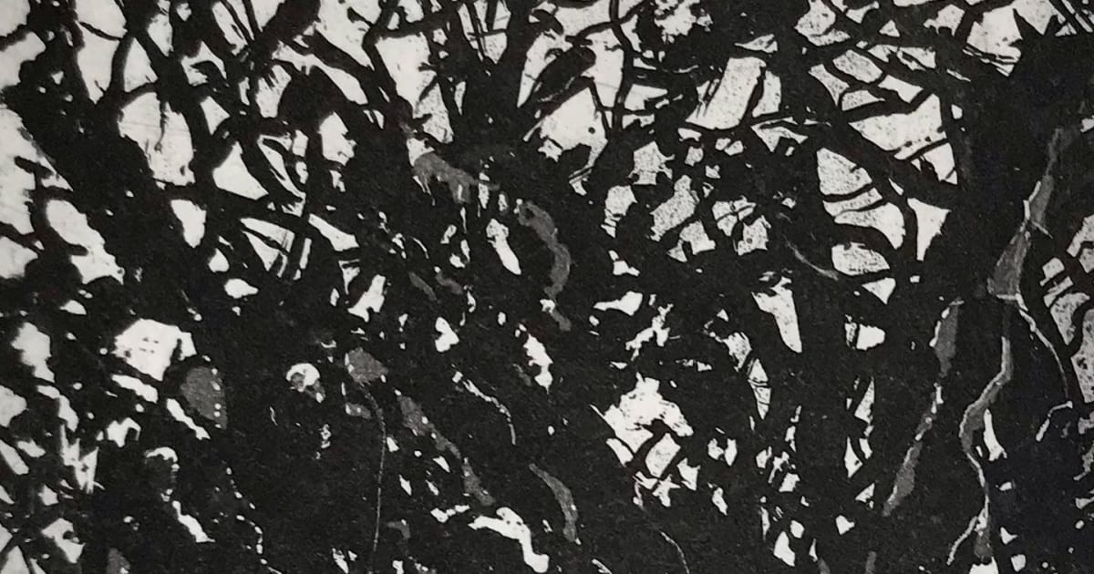 Jackie Newell RE, Into the Woods 1 | Bankside Gallery