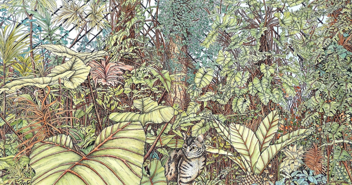 Meg Dutton RE, Conservatory Cat | Bankside Gallery