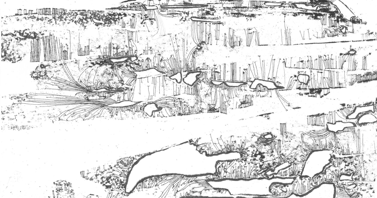 Katie Pratt, Oklorado, 2018 | Flowers Gallery