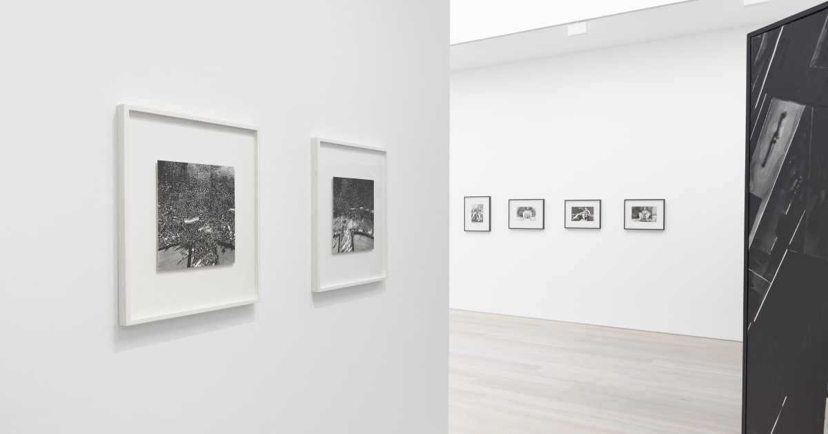 Image as Protest: Joy Gerrard &... | Cristea Roberts Gallery
