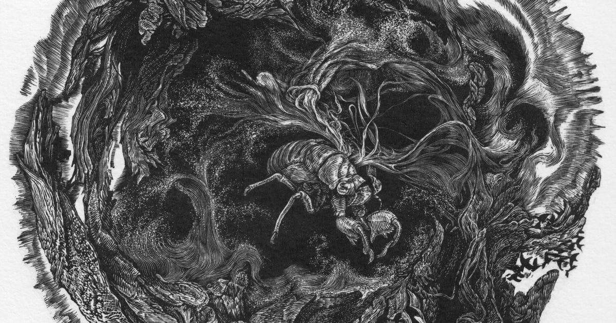 Tatsuki Tsukada Temporal Things Utsusemi | The Society of Wood ...