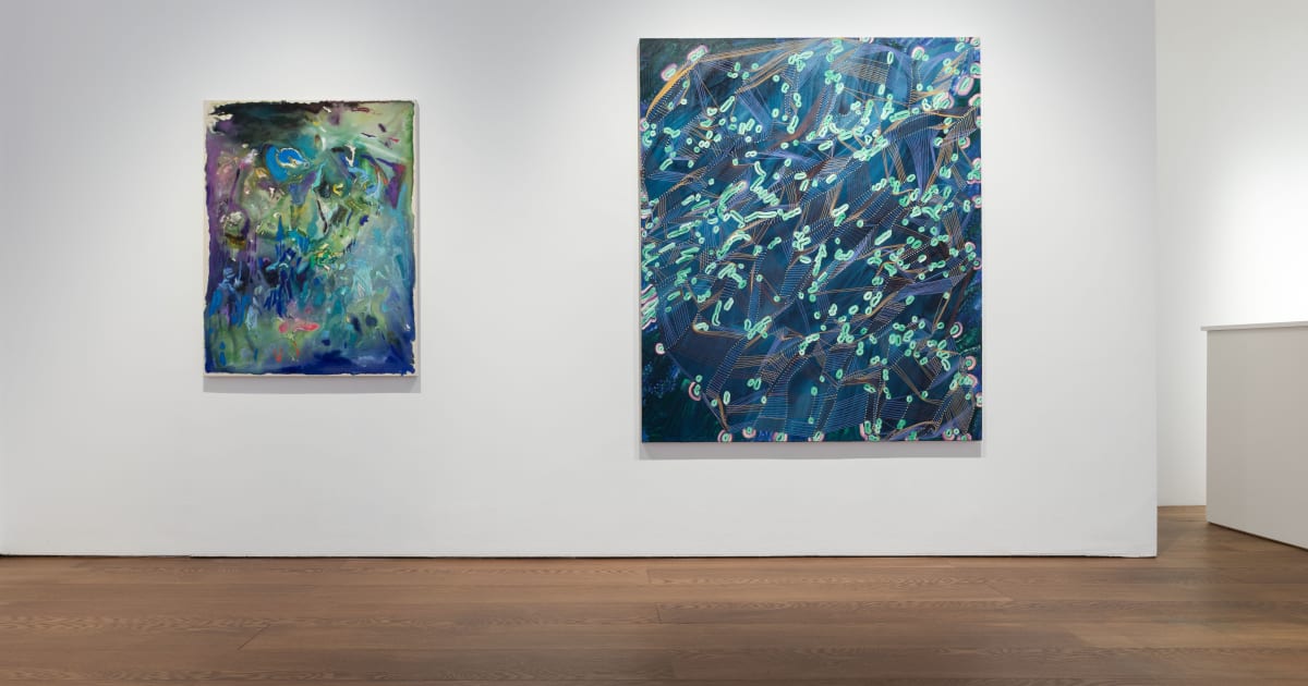 Supernova | Flowers Gallery