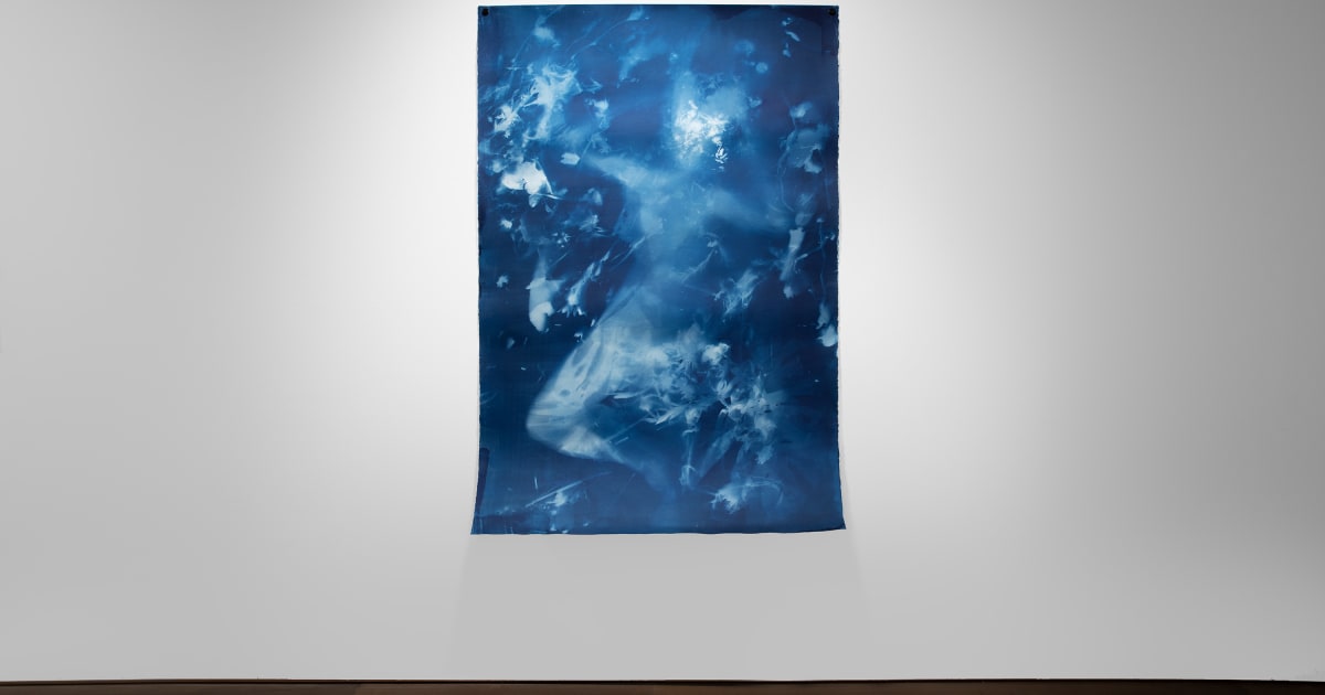 Janelle Lynch Endless Forms Most Beautiful | featured in The Eye of ...