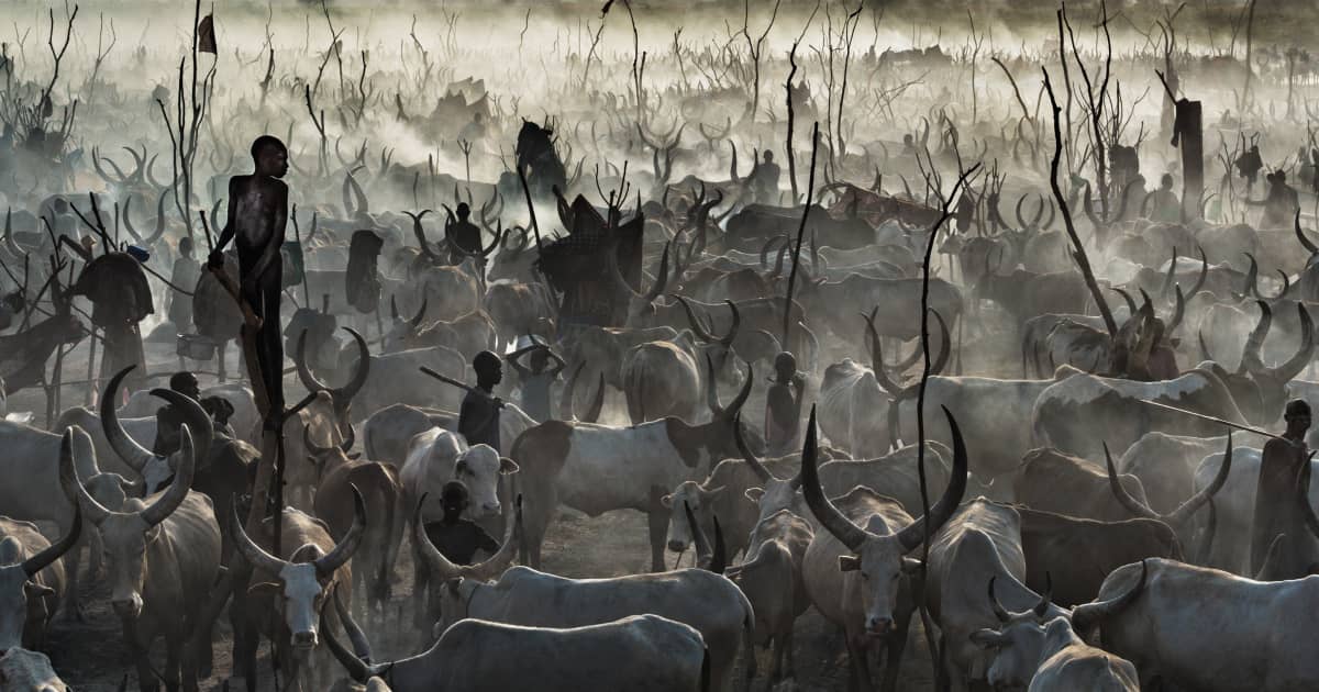 David Yarrow, Mankind 2 (Monochromatic), 2014 | Maddox Gallery