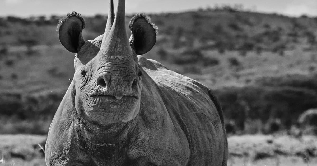 David Yarrow, Unforgiven, 2017 | Maddox Gallery