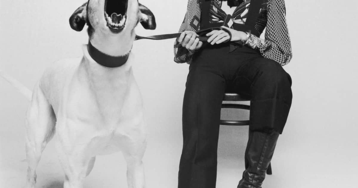 Terry O'Neill, David Bowie in 'Diamond Dogs', 1974 | Maddox Gallery