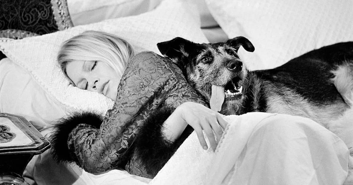 Terry O'Neill, Brigitte Bardot with Dog, 1970 | Maddox Gallery