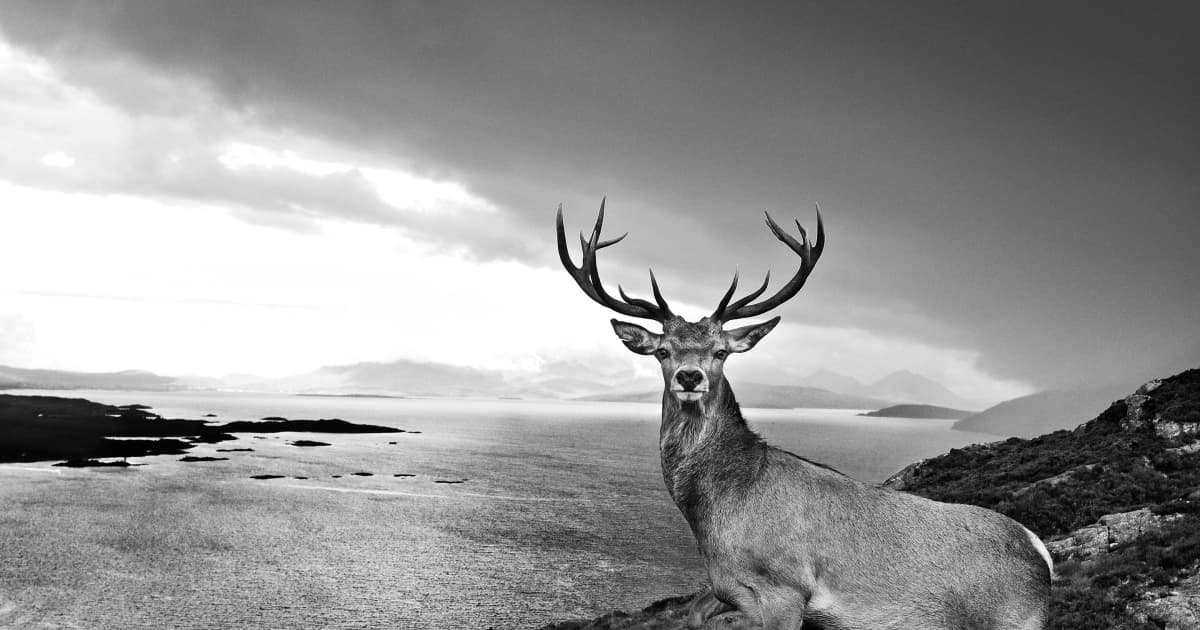 David Yarrow, Over The Sea To Skye, 2017 | Maddox Gallery
