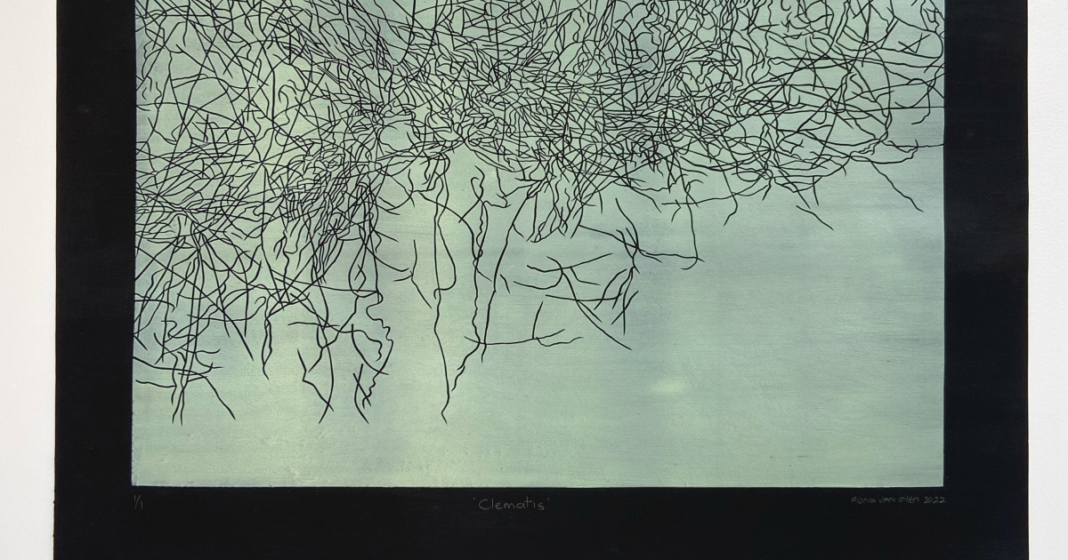 Fiona Van Oyen, Clematis, 2022 | Anatomical Garden by Fiona Van Oyen ...