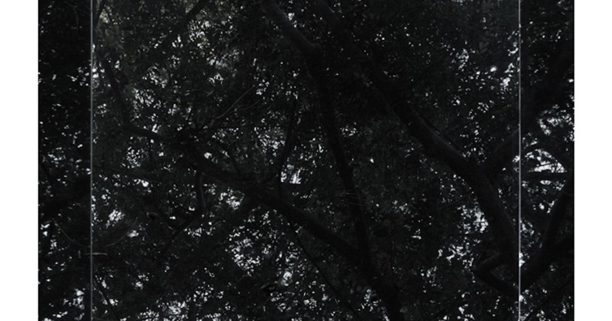 Luisa Lambri, Untitled (Sheats-Goldstein House, #10), 2007 | Thomas ...
