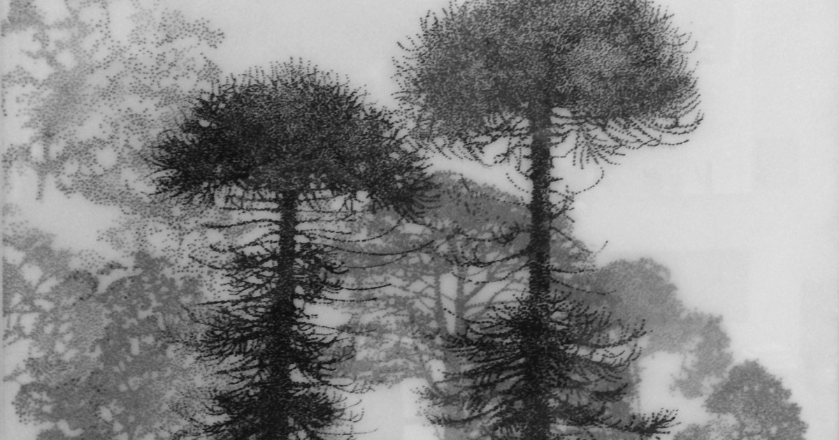 Elena Nieves - Biography | Currell Collection